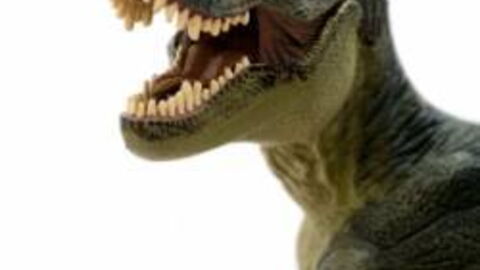 Deux fossiles de dinosaures carnivores, cousins du T-Rex, découverts ...