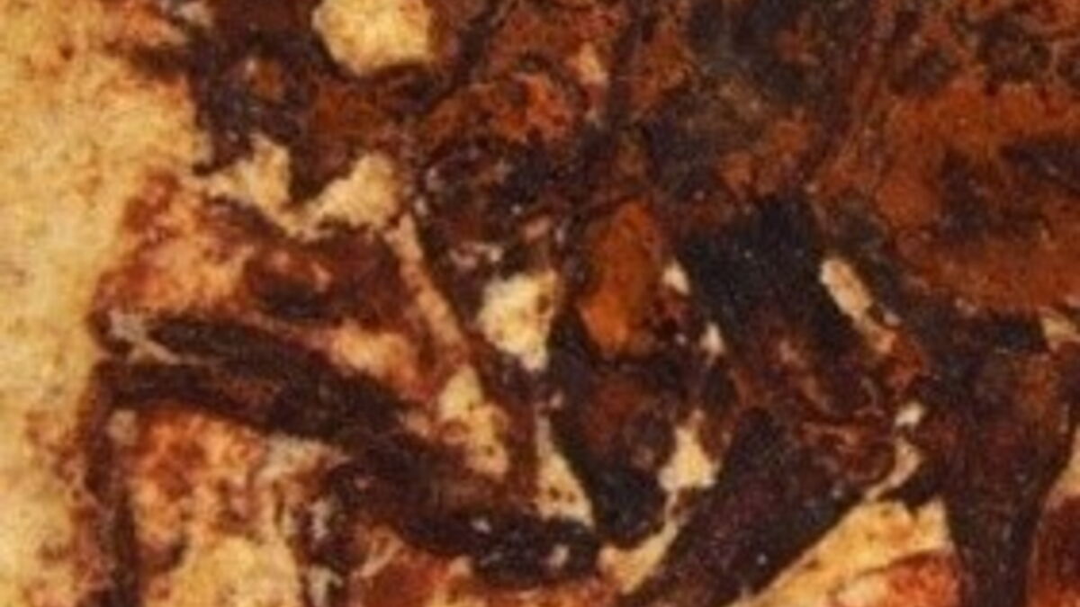 Paléontologie : un insecte du Crétacé éclaircit la genèse des ailes