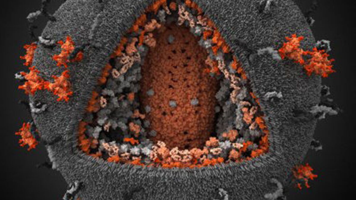 Concours : les plus belles images scientifiques primées