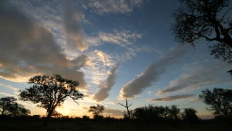 Record : voici le plus grand caca humain de l'histoire