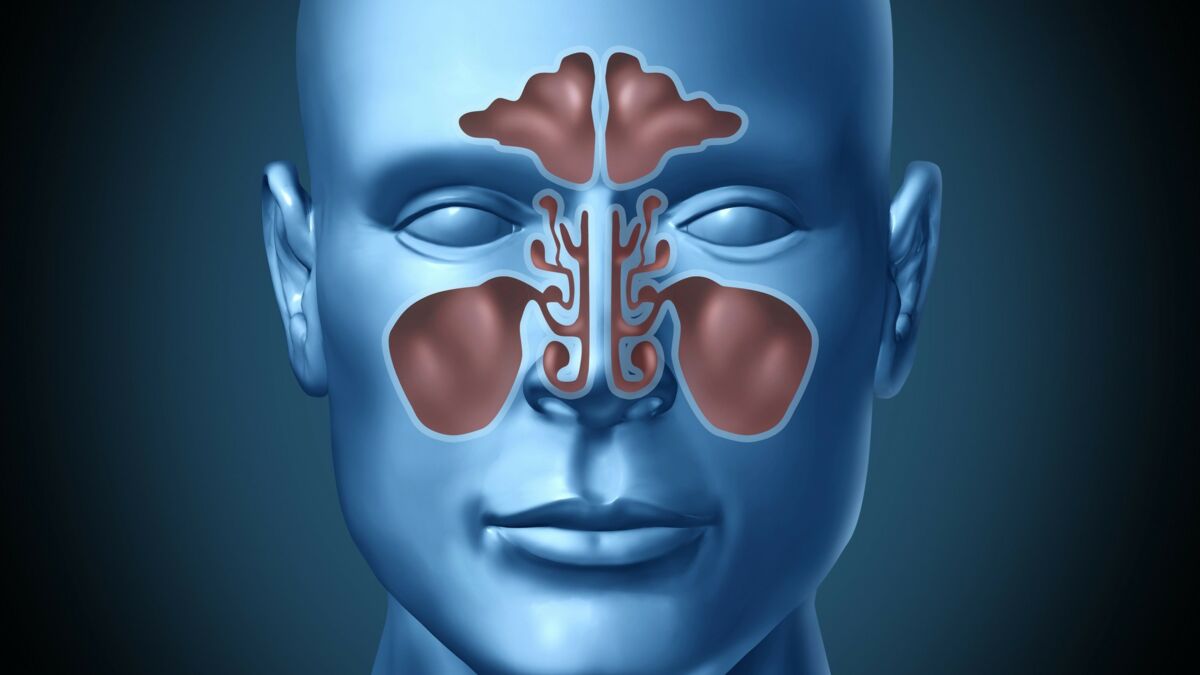 Sinus : définition, comment se passe un examen, et y a-t-il des risques Sinus : définition, comment se passe un examen, et y a-t-il des risques