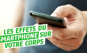 L'effet terrible et inattendu de la 5G sur les insectes