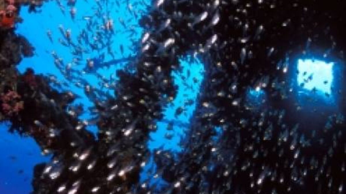 Découvrez huit des plus belles épaves du monde, en images