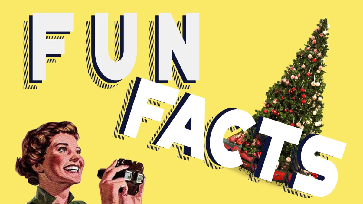 Fun facts : 5 choses que vous ignorez peut-être sur le sapin de Noël