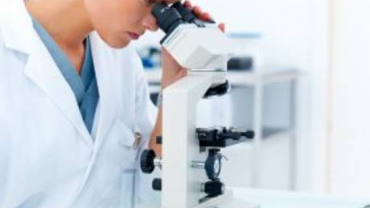 Cinq femmes scientifiques récompensées par l’UNESCO et L’Oréal