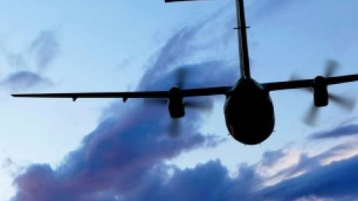 Aviation : un cri-cri 100% électrique effectue son premier vol