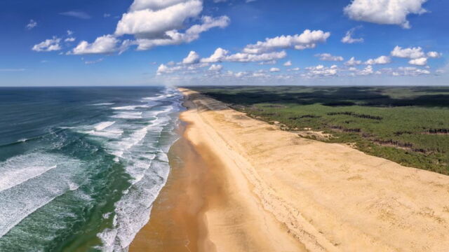 Océan Atlantique : grandes explorations, biodiversité… découvrez cet ...