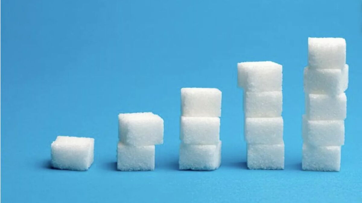 Quels sont les effets du sucre sur notre cerveau