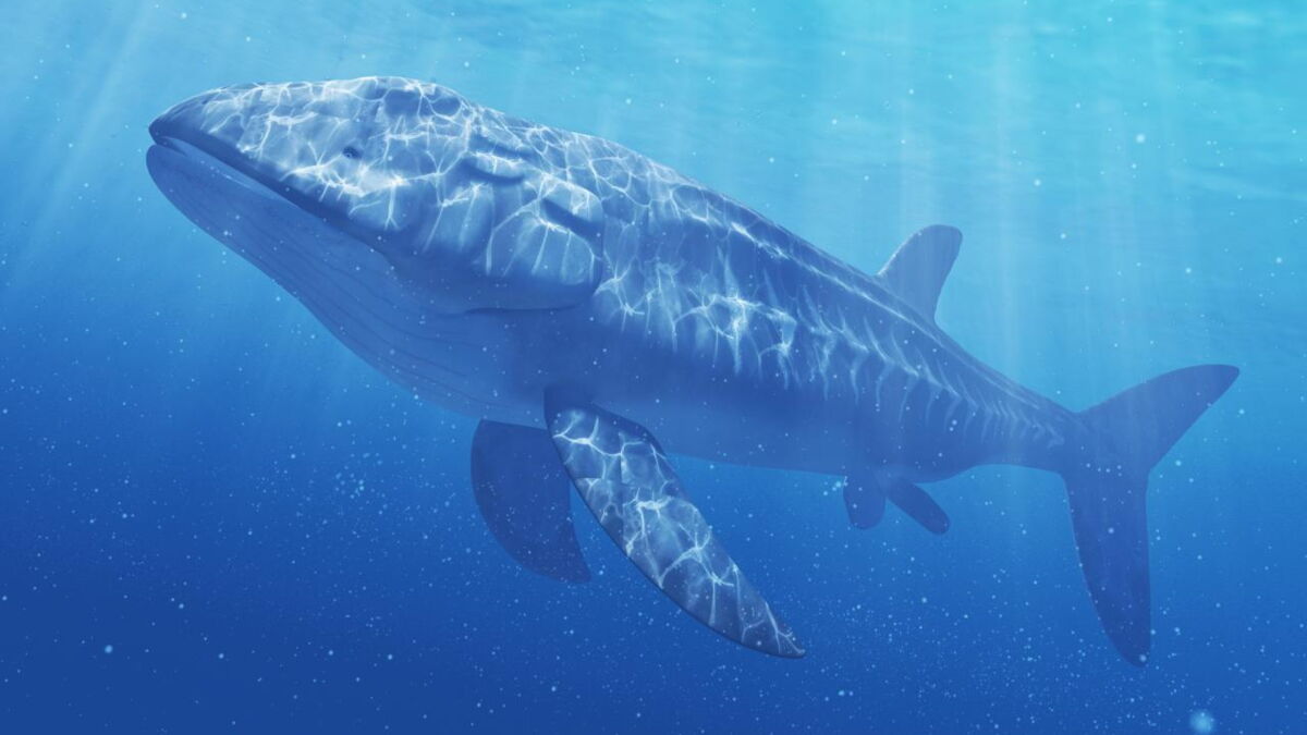 TOP 7 des plus grands poissons préhistoriques, des terreurs marines de ...