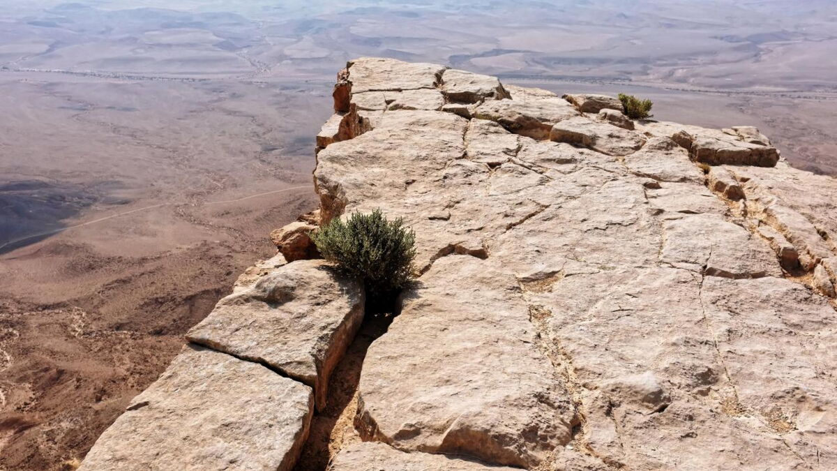 Ces 50 squelettes retrouvés dans une sépulture cachent un terrible secret