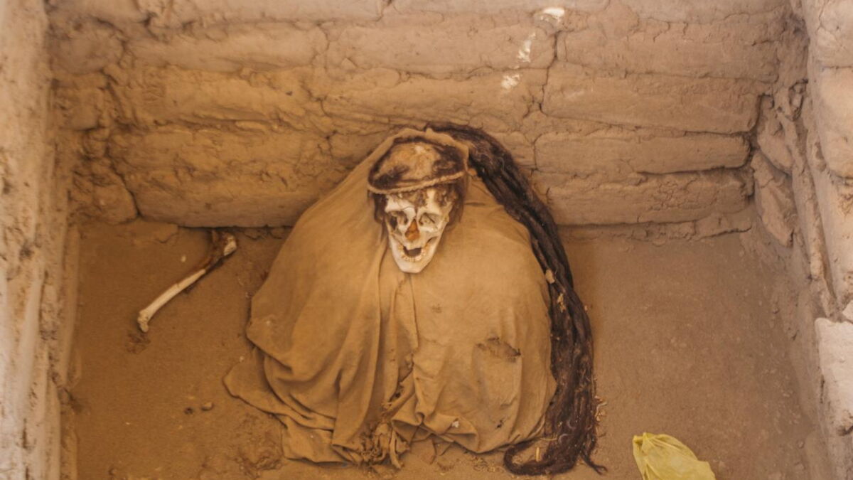 La police découvre une momie vieille de 800 ans un sac de livraison