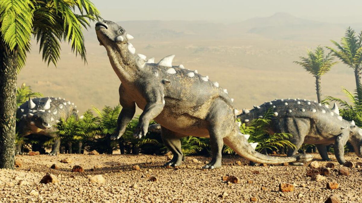 Ce fossile de dinosaure cuirassé a été retrouvé parfaitement conservé