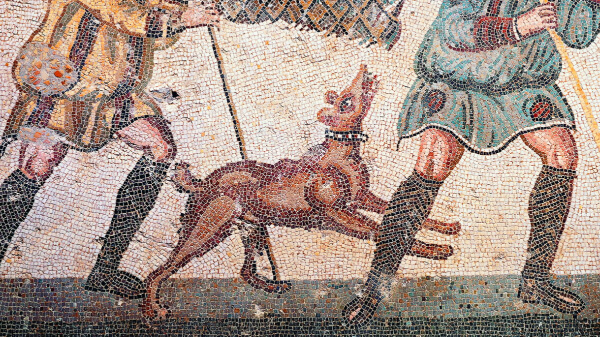 Un animal de compagnie romain retrouvé 1800 ans après sa mort