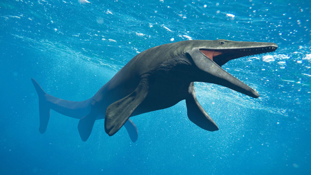 Voici le terrifiant fossile d'une baleine carnivore