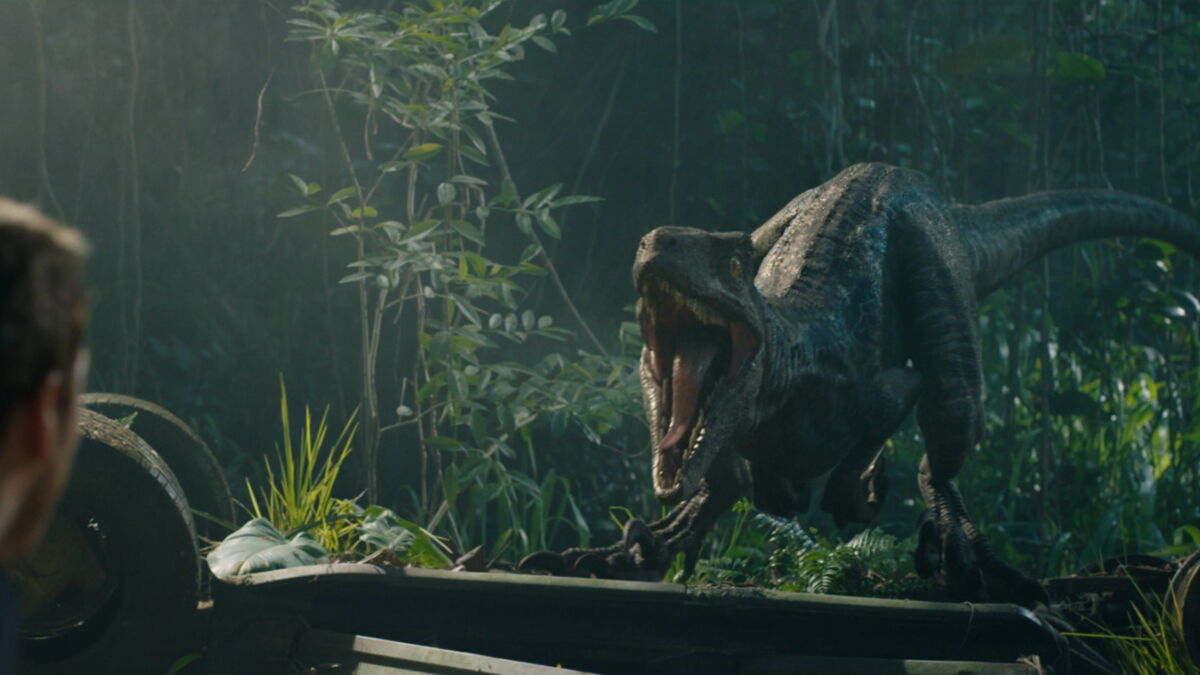 Découvrez à quoi ressemblerait une attaque de vélociraptor (VIDEO)