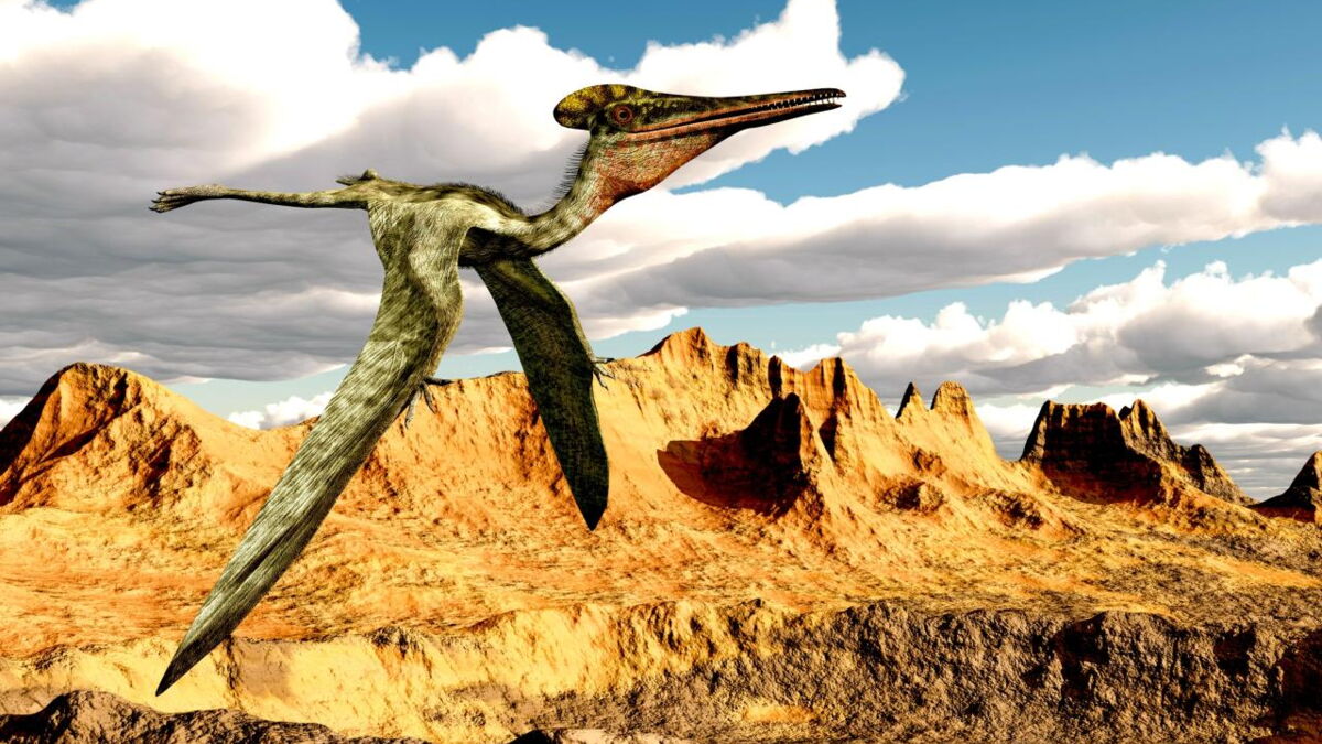 À quoi ressemblait le ptérodactyle, ce terrifiant dinosaure volant