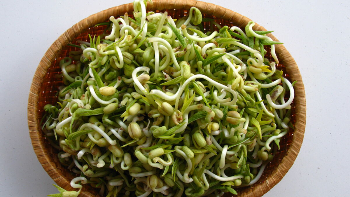 Le soja serait un allié contre le cancer de la prostate