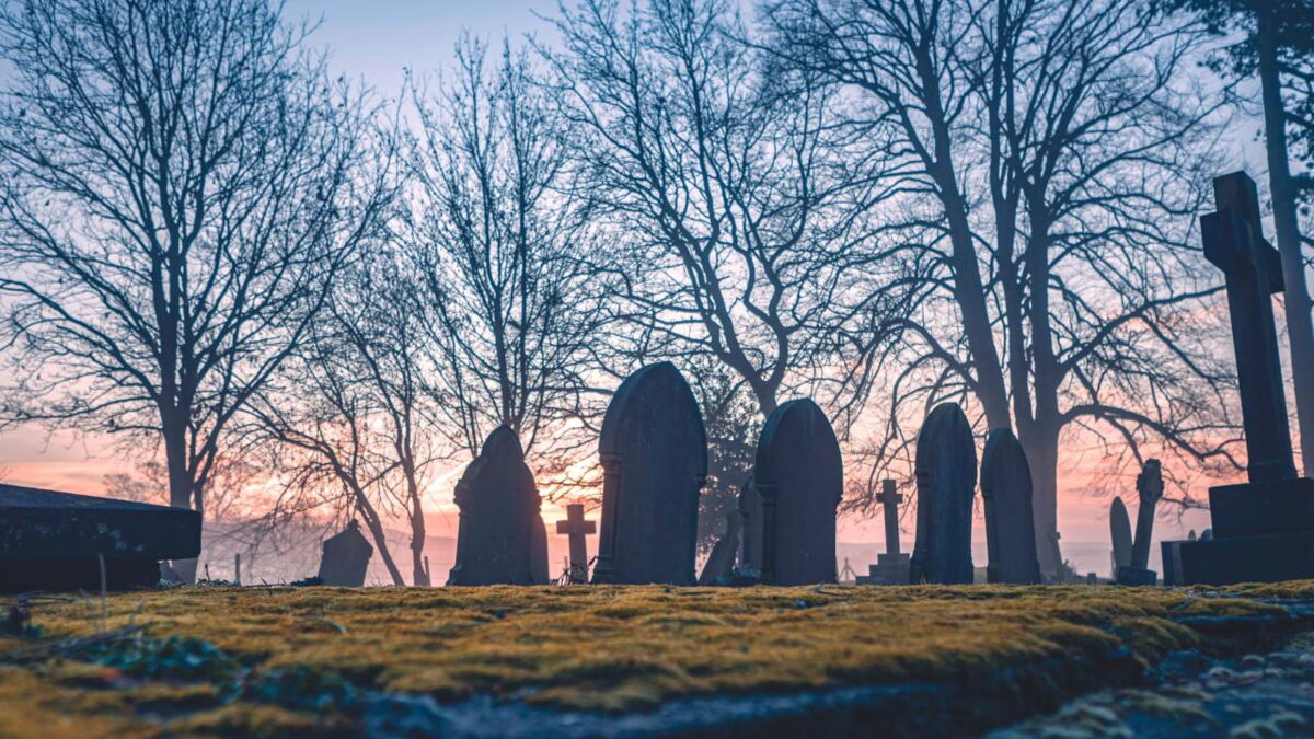 Qu'est-ce qu'un feu follet