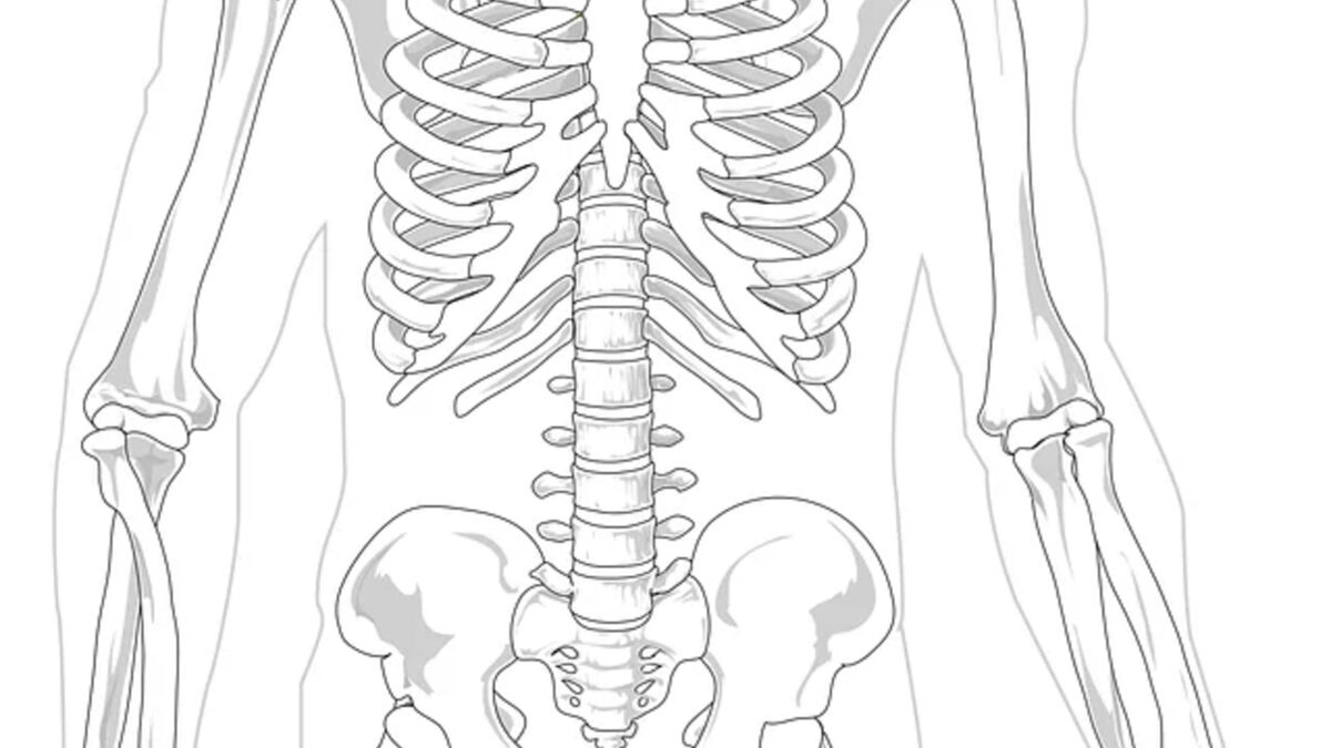 Maladie De Cyriax Origine : Le syndrome de Cyriax : traitement et ...