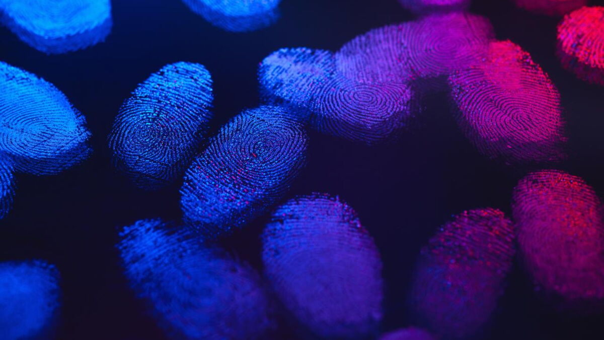 Découvrez le secret de la formation des empreintes digitales