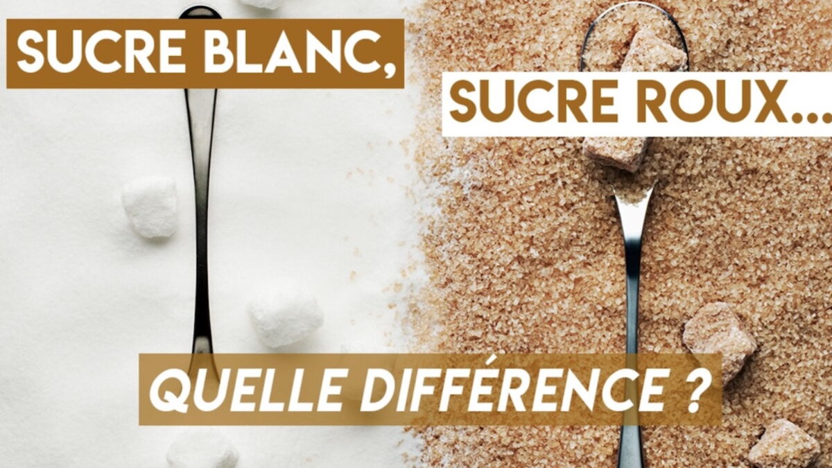 Quelle est la différence entre le sucre blanc et le sucre roux