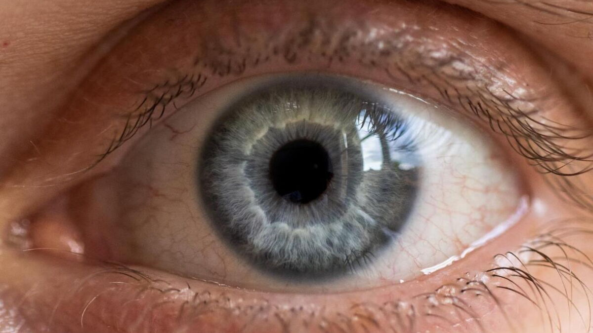 Cette illusion d’optique va vous donner l’impression de tomber dans un ...