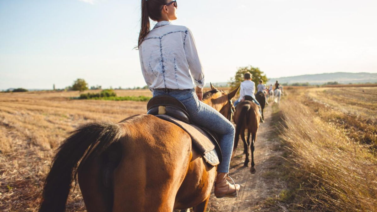 Balade à cheval : 5 conseils utiles pour préparer votre randonnée