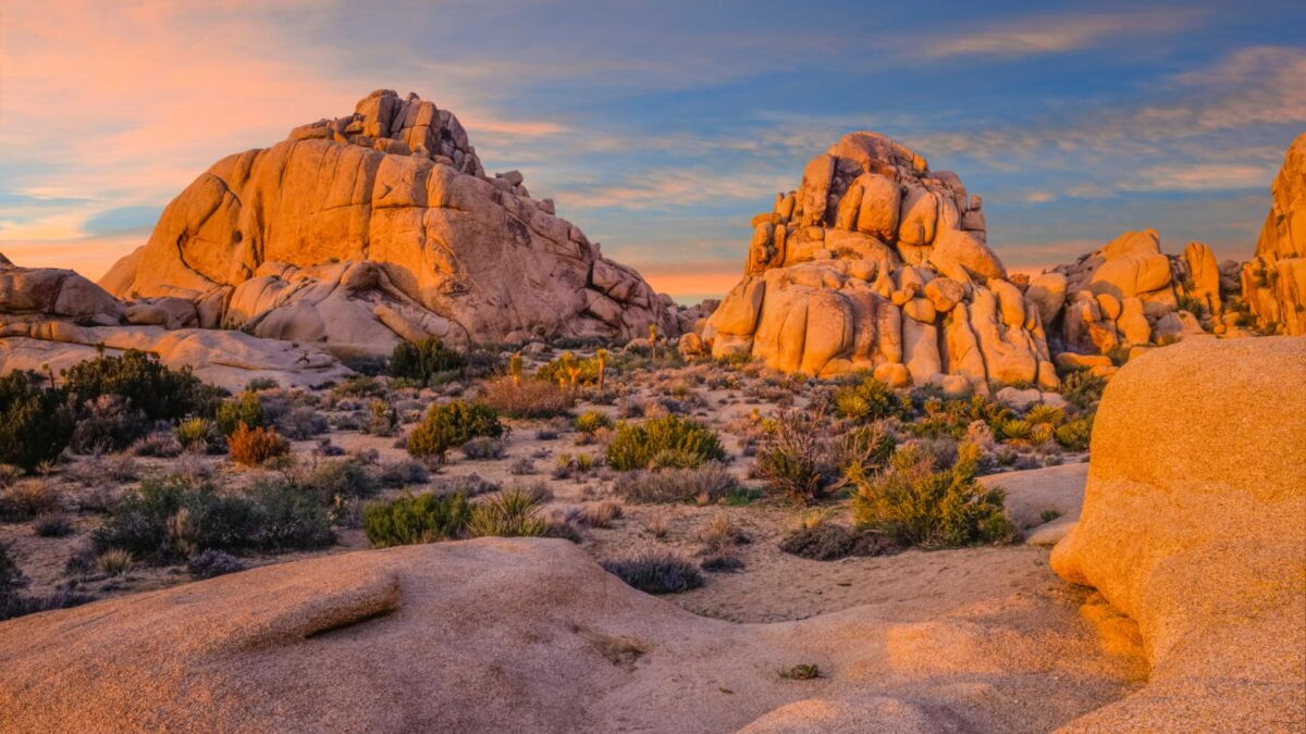 Ce lichen du désert pourrait nous aider à trouver de la vie extraterrestre