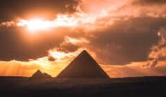 Mathusalem est l'arbre le plus vieux du monde, il est plus ancien que ...