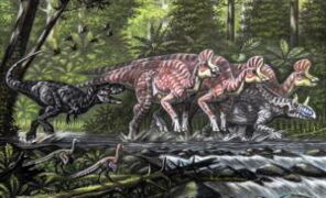 Sciences - De l'archéologie à l'astronomie, en passant par la physique ...