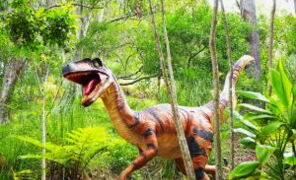 Sciences - De l'archéologie à l'astronomie, en passant par la physique ...