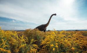 Sciences - De l'archéologie à l'astronomie, en passant par la physique ...
