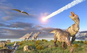 Sciences - De l'archéologie à l'astronomie, en passant par la physique ...