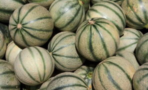 Record : voici le plus grand caca humain de l'histoire