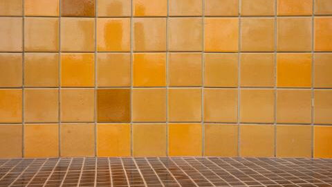 « Anguille sous roche » : que signifie cette expression