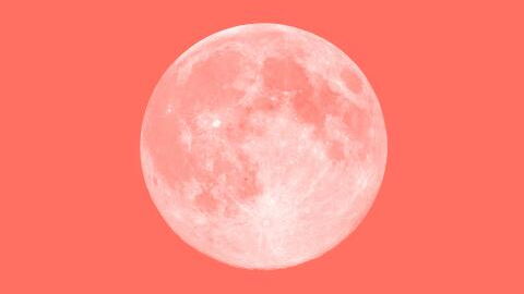 Super pleine lune du Castor 2024 : quand observer cet évènement ...