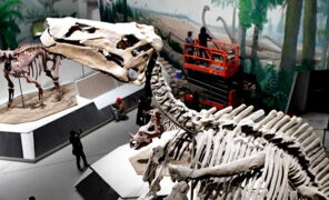 Sciences - De l'archéologie à l'astronomie, en passant par la physique ...