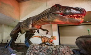 Sciences - De l'archéologie à l'astronomie, en passant par la physique ...