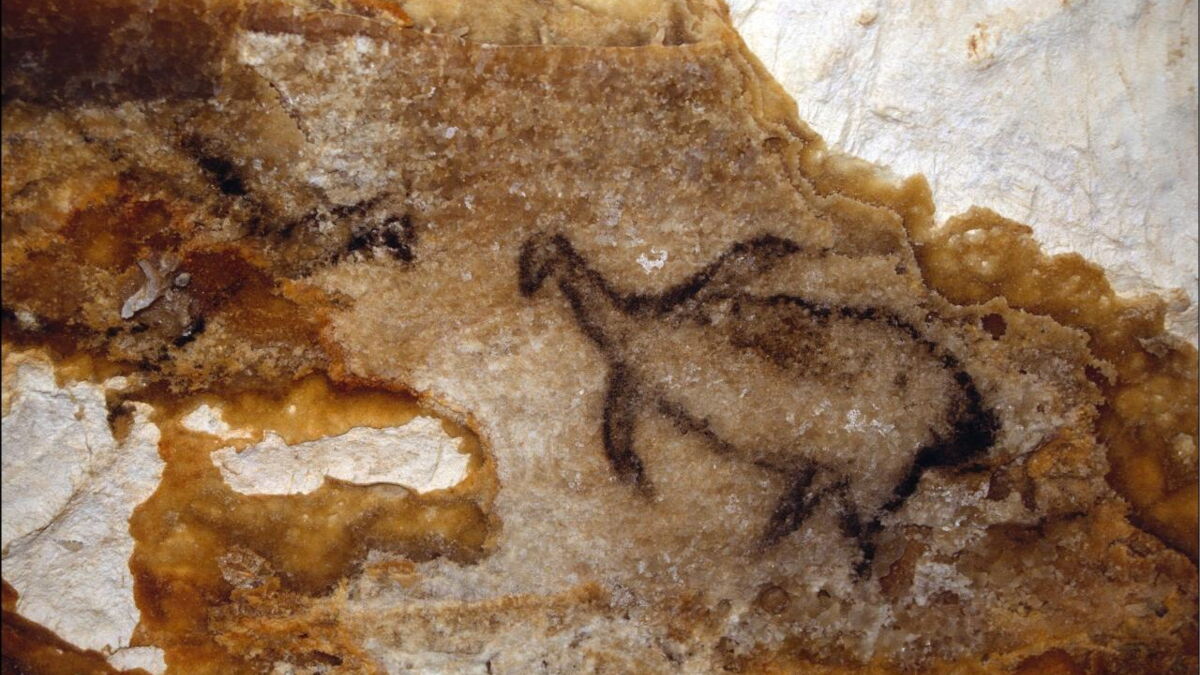 Tout ce que vous devez savoir sur la grotte Cosquer