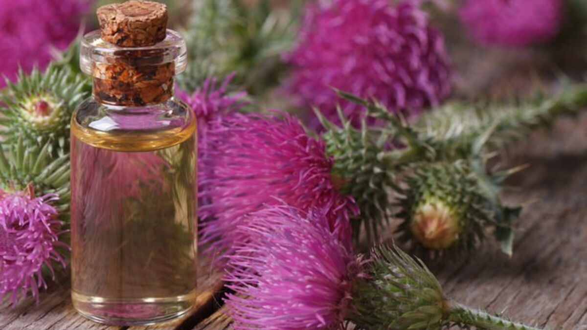 The Benefits Of Using Burdock For Skin, Acne, And Hair