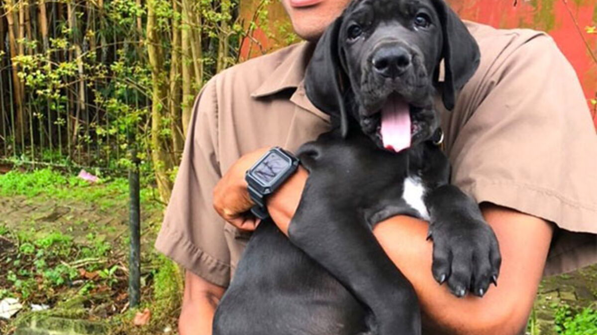 This Delivery Man Poses With All The Doggos He Meets At Work