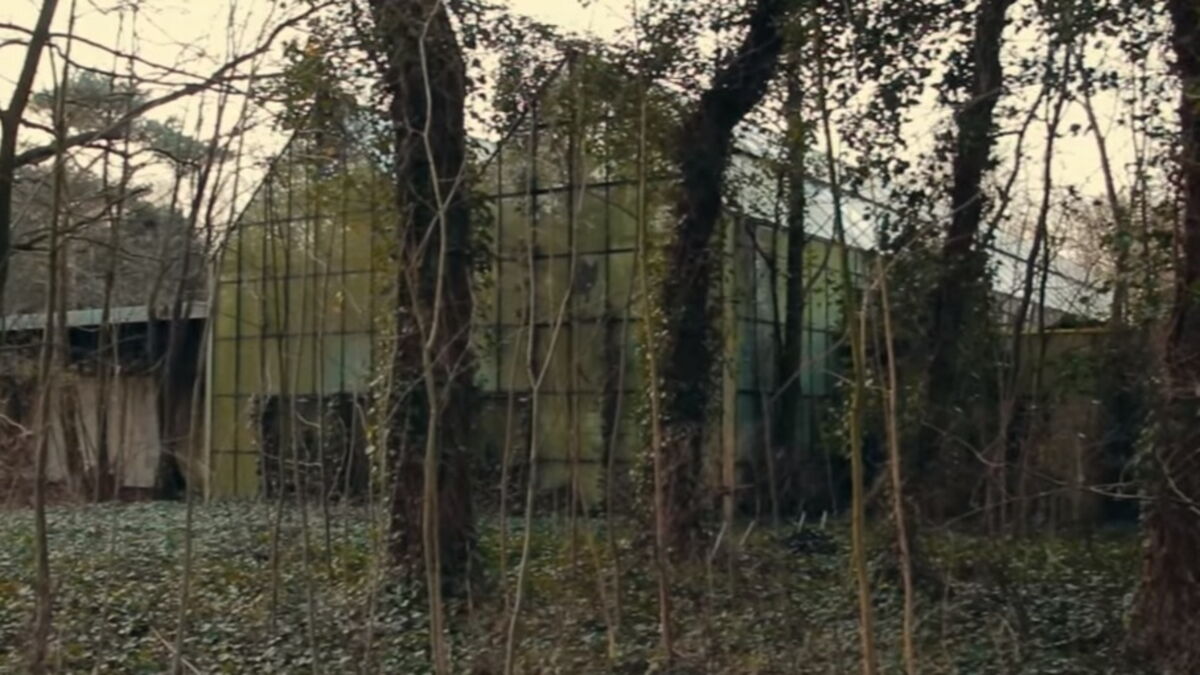 After Visiting An Abandoned Zoo In The Dead Of Night, These Youtubers ...