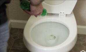 Garlic is the secret to a clean toilet
