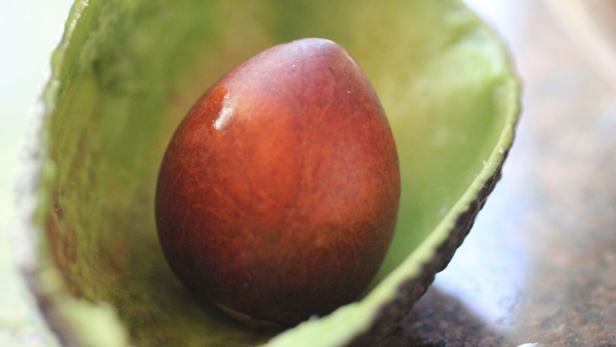 The Surprising Health Benefits Of Avocado Stones