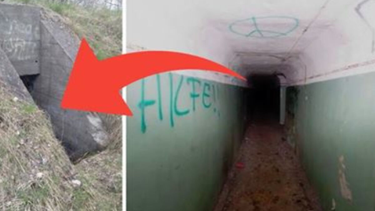They Stumbled Upon A Nazi Bunker In A Forest - Then Found Something ...