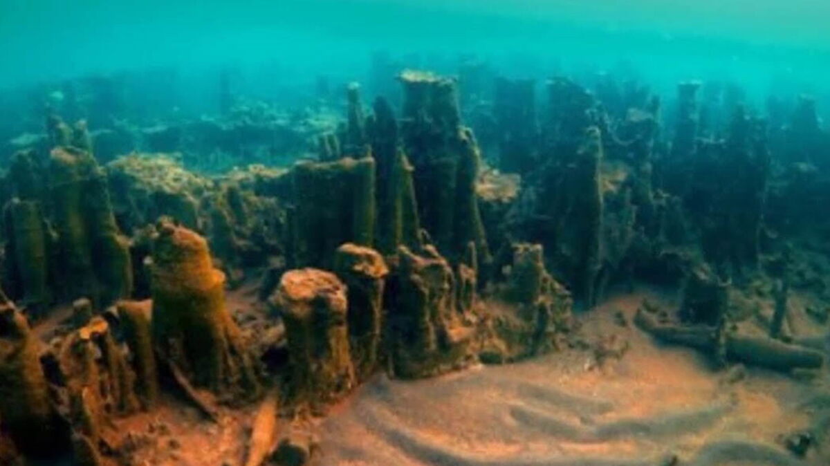 Whilst Searching For Sea Monsters, These Researchers Made An Unexpected ...