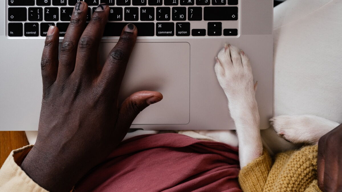 Is your dog right- or left-pawed? Here's how you can find out