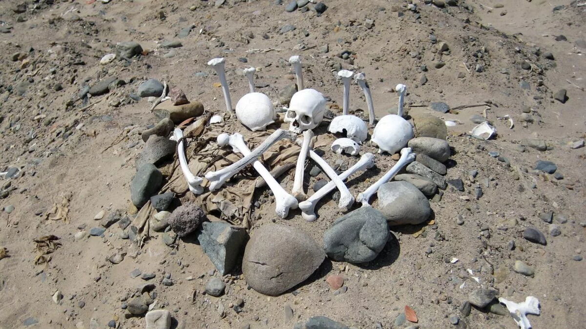 The Incas used hallucinogenics on children during their sacrificial rites