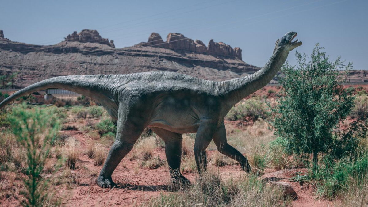 Never-seen-before remains of possibly the largest dinosaur in Europe ...
