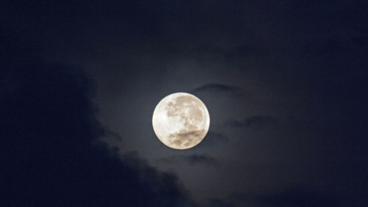 Here’s What the New Moon on August 19 Has in Store for You